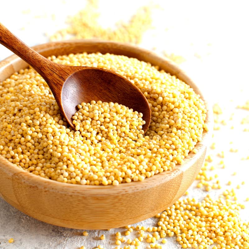 Certified Organic Proso Millet – Puretree Foods